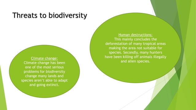 Biodiversity | PPT