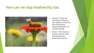 Biodiversity | PPT