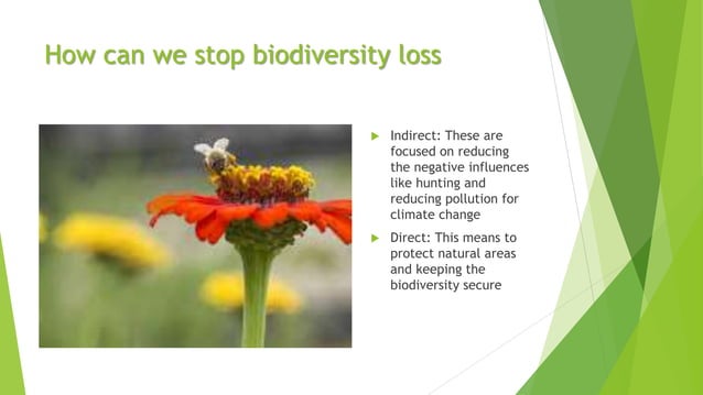 Biodiversity | PPT