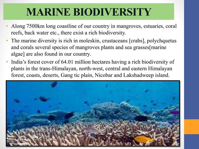 Biodiversity and its Conservation methods | PPTX | Environmental ...