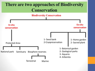 Biodiversity and its Conservation methods | PPTX