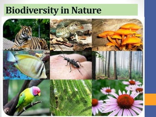 Biodiversity and its Conservation methods | PPTX
