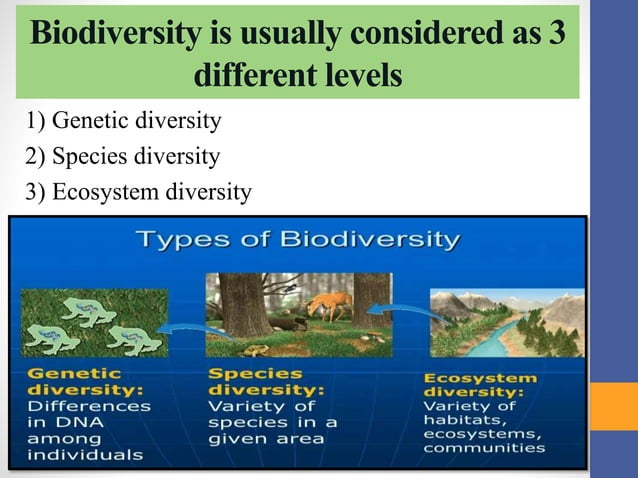 Biodiversity and its Conservation methods | PPTX | Environmental Services Industry | Industries