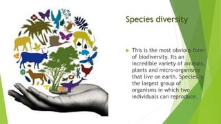 Biodiversity | PPTX