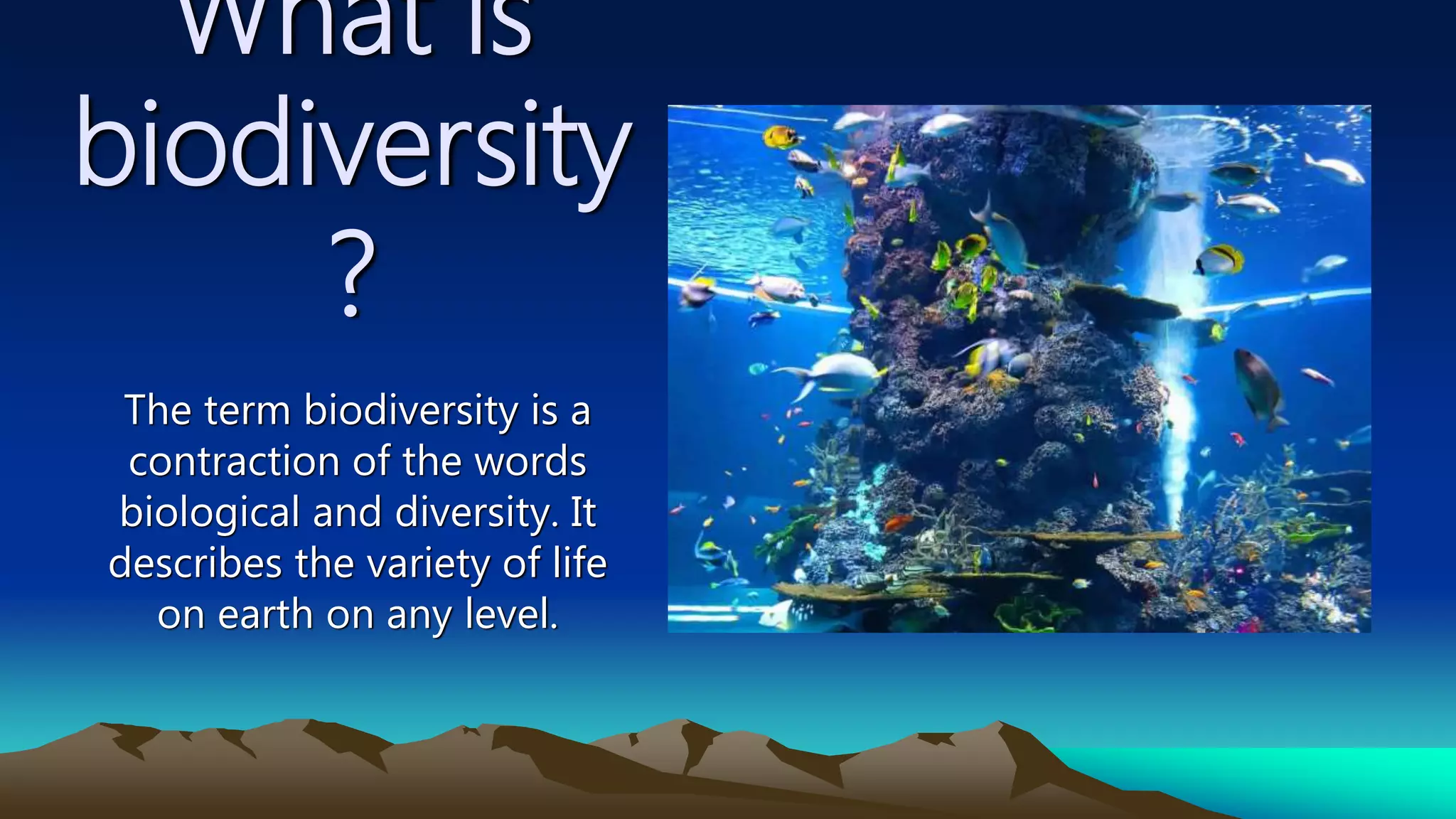 Biodiversity | PPT