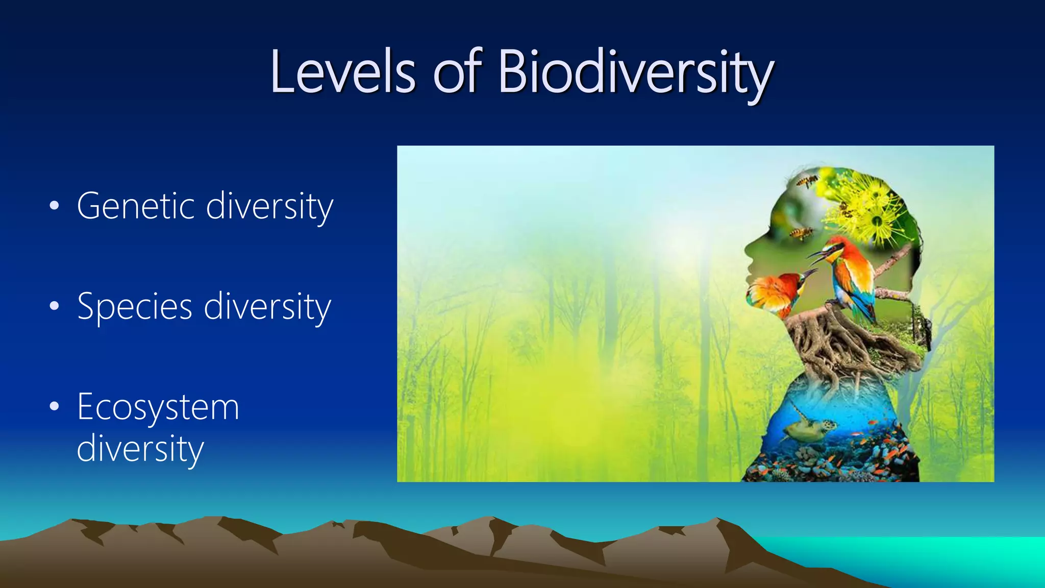 Biodiversity | PPT