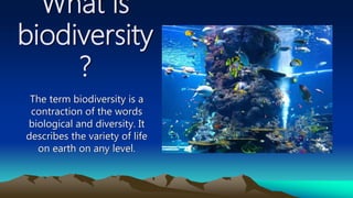 Biodiversity | PPTX