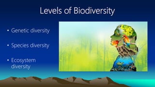 Biodiversity | PPT