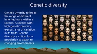Biodiversity | PPT