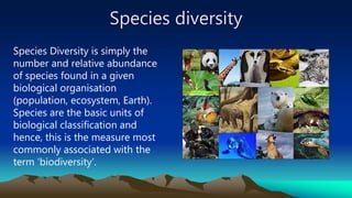 Biodiversity | PPT