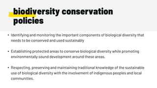 Biodiversity | PPT