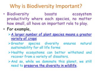 Biodiversity | PPTX