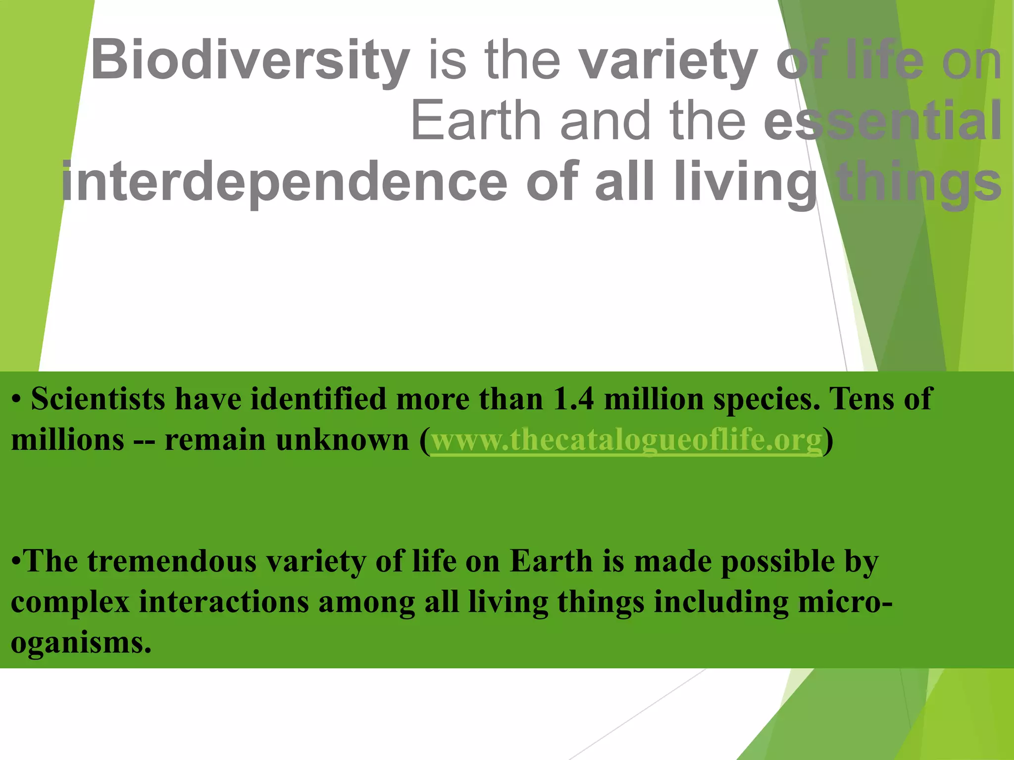 Biodiversity.ppt | Geography | Science