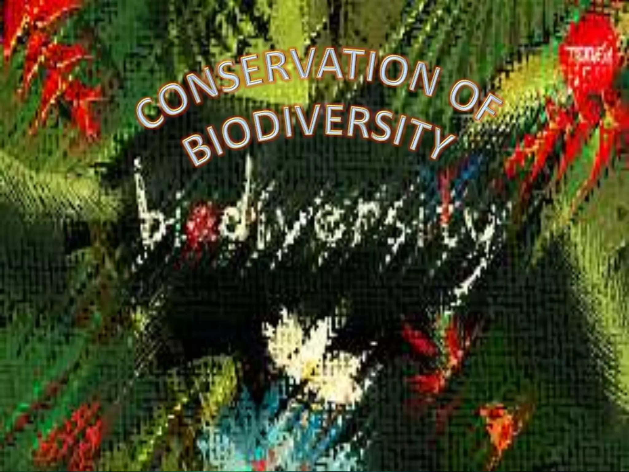 Biodiversity.ppt