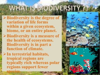 Biodiversity.ppt