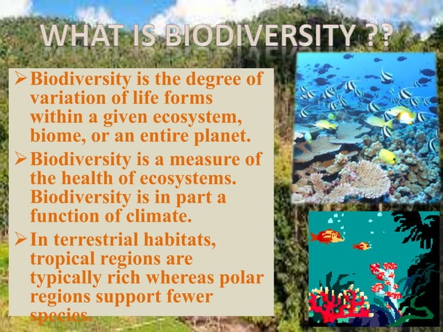 Biodiversity.ppt