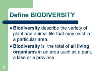 BIO DIVERSITY.pptx