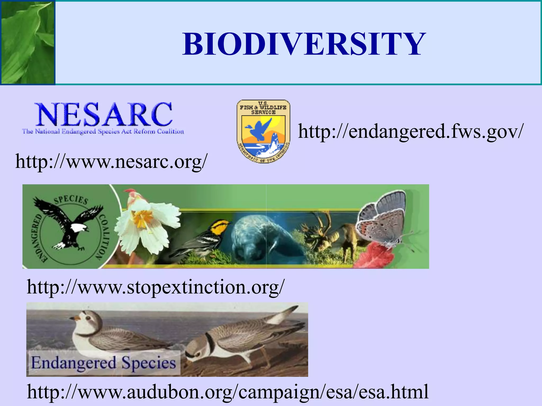 Biodiversity.ppt