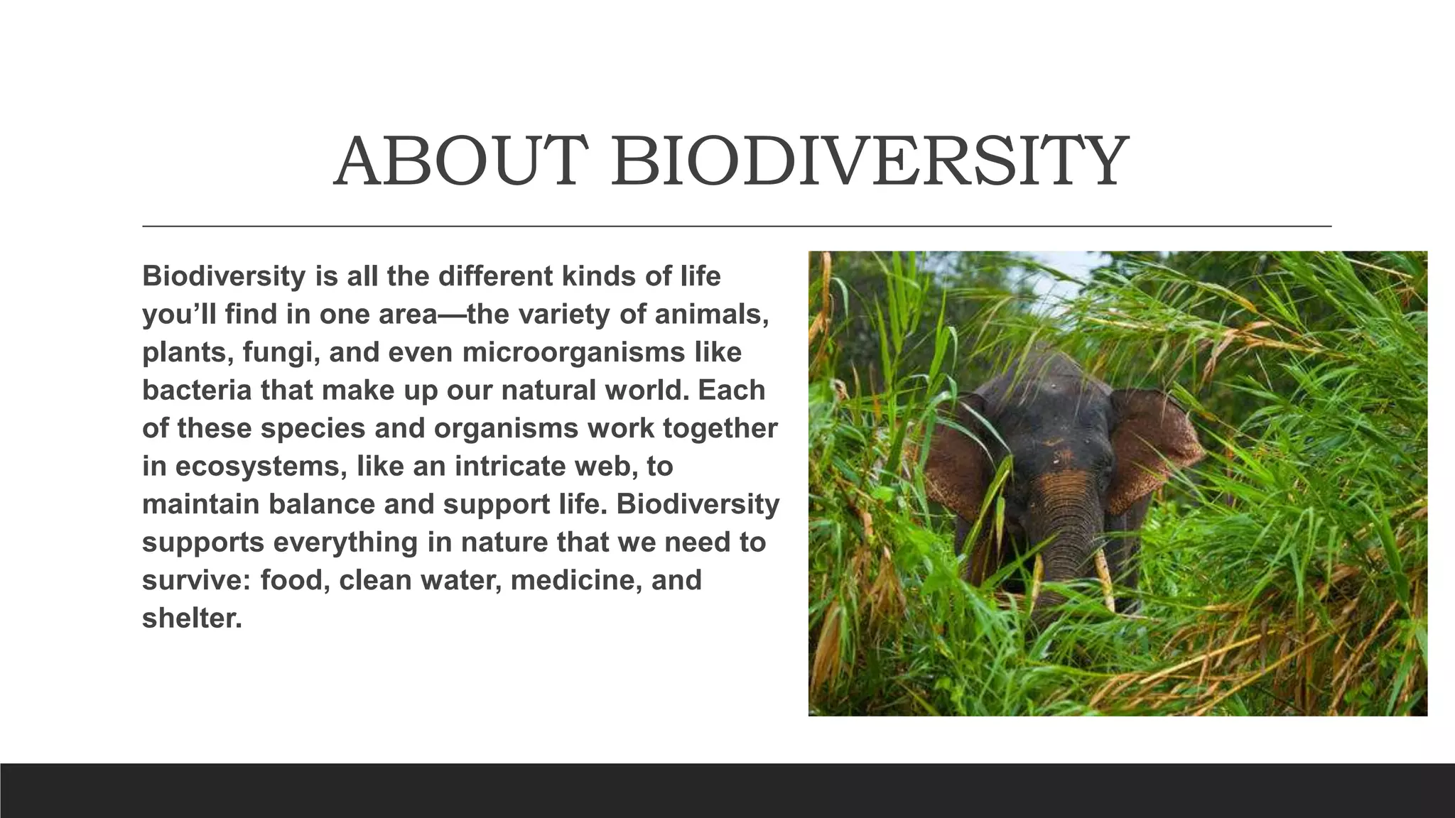 BIODIVERSITY.pptx