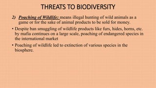 biodiversity.pptx