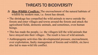 biodiversity.pptx