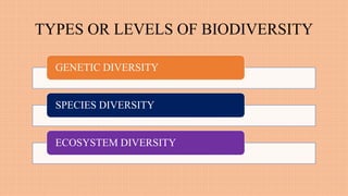 biodiversity.pptx