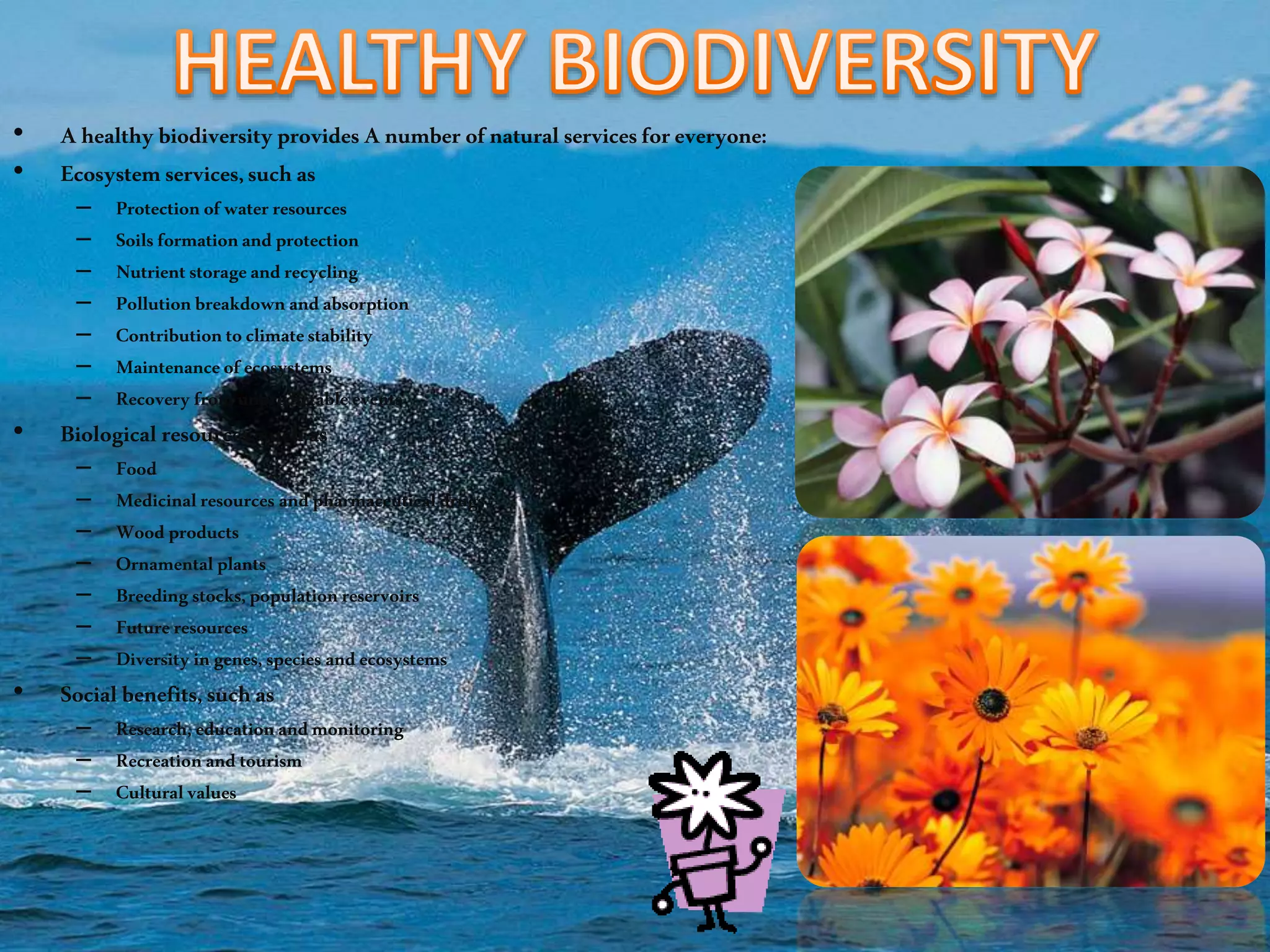 biodiversity.pptx