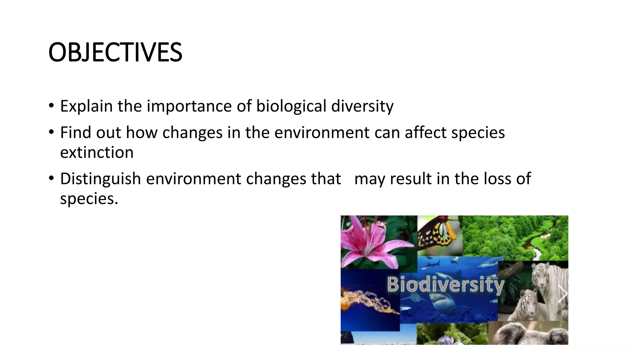 BIODIVERSITY.pptx