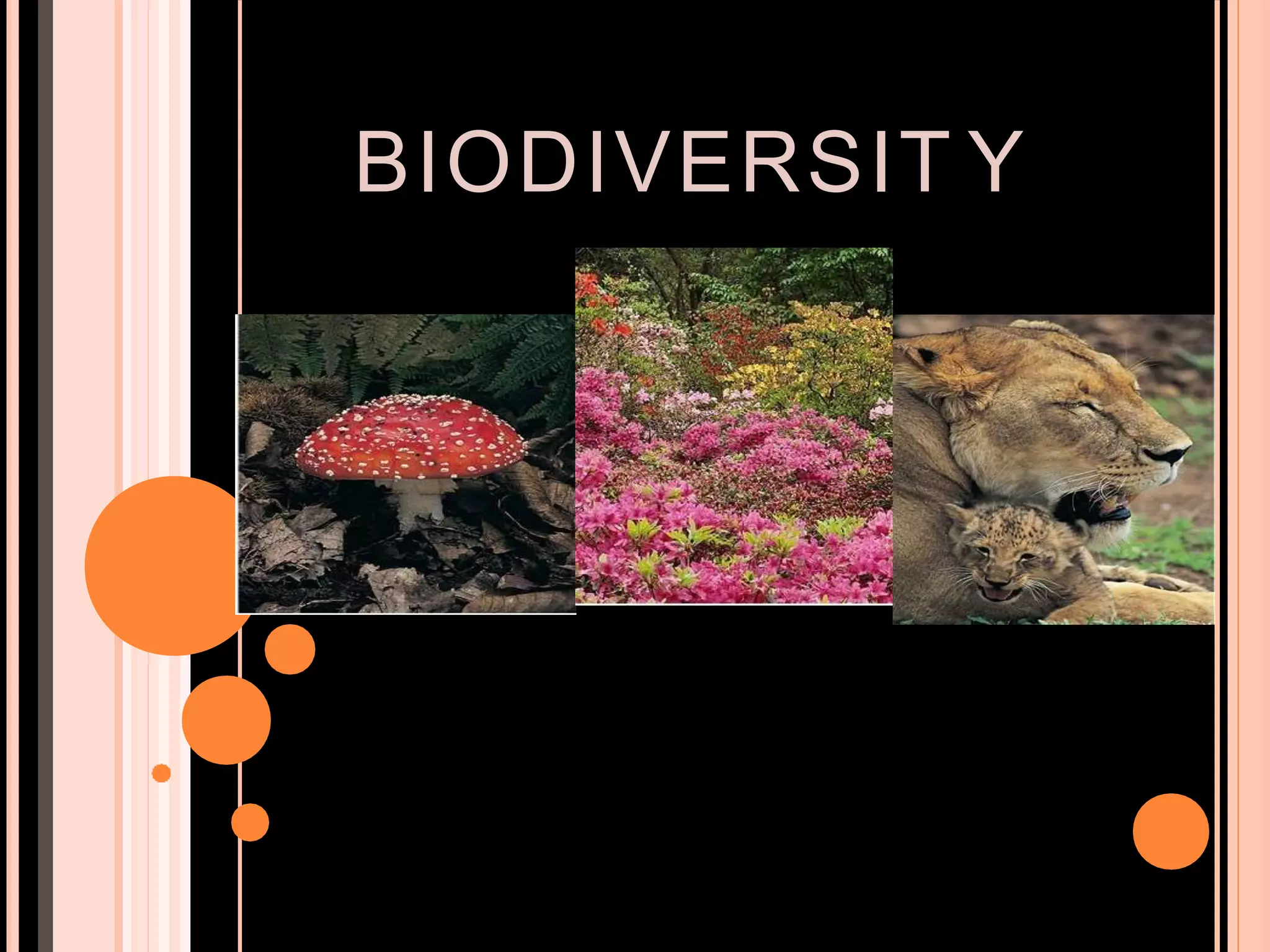 Biodiversity.pptx
