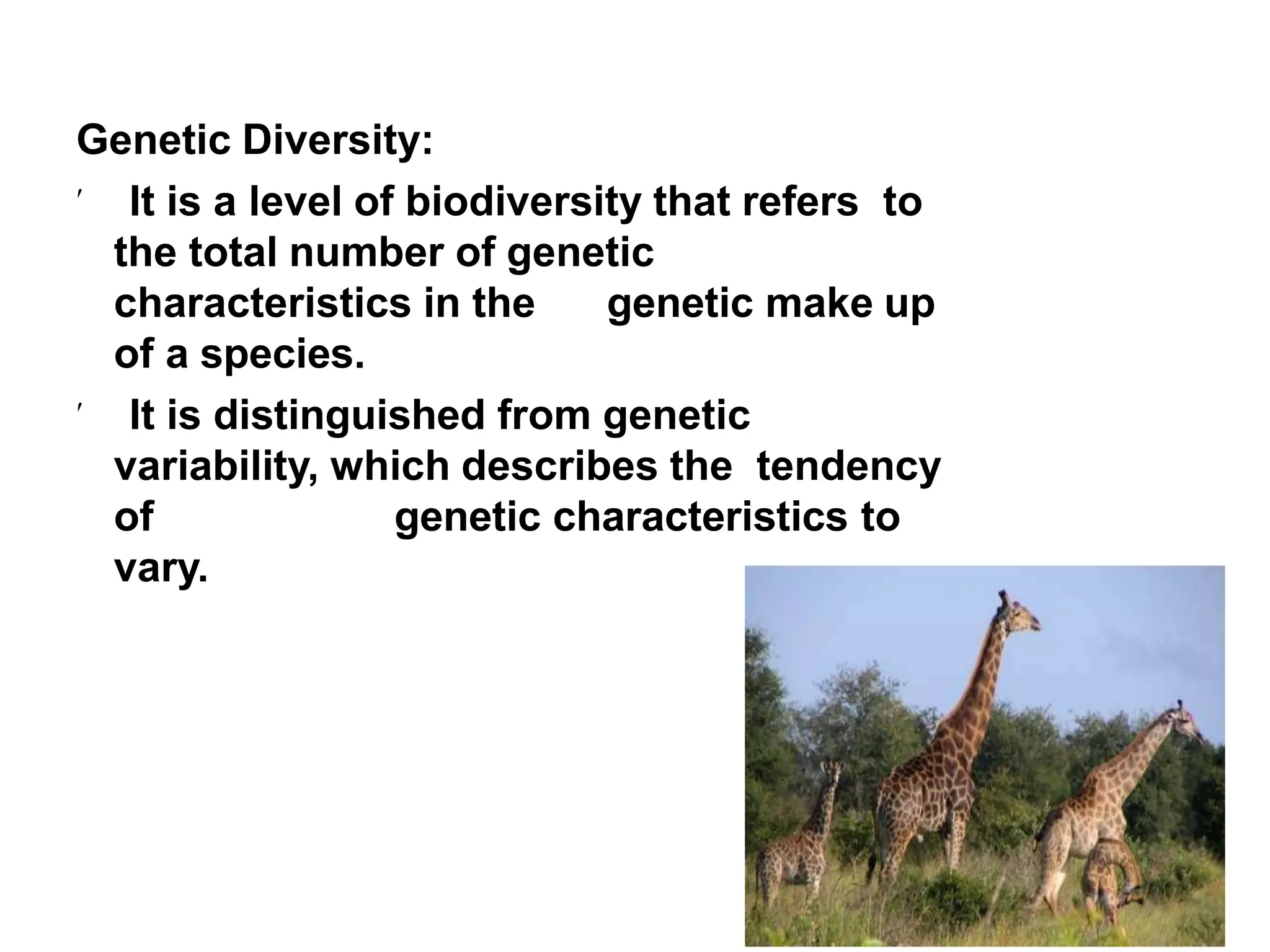 Biodiversity.pptx