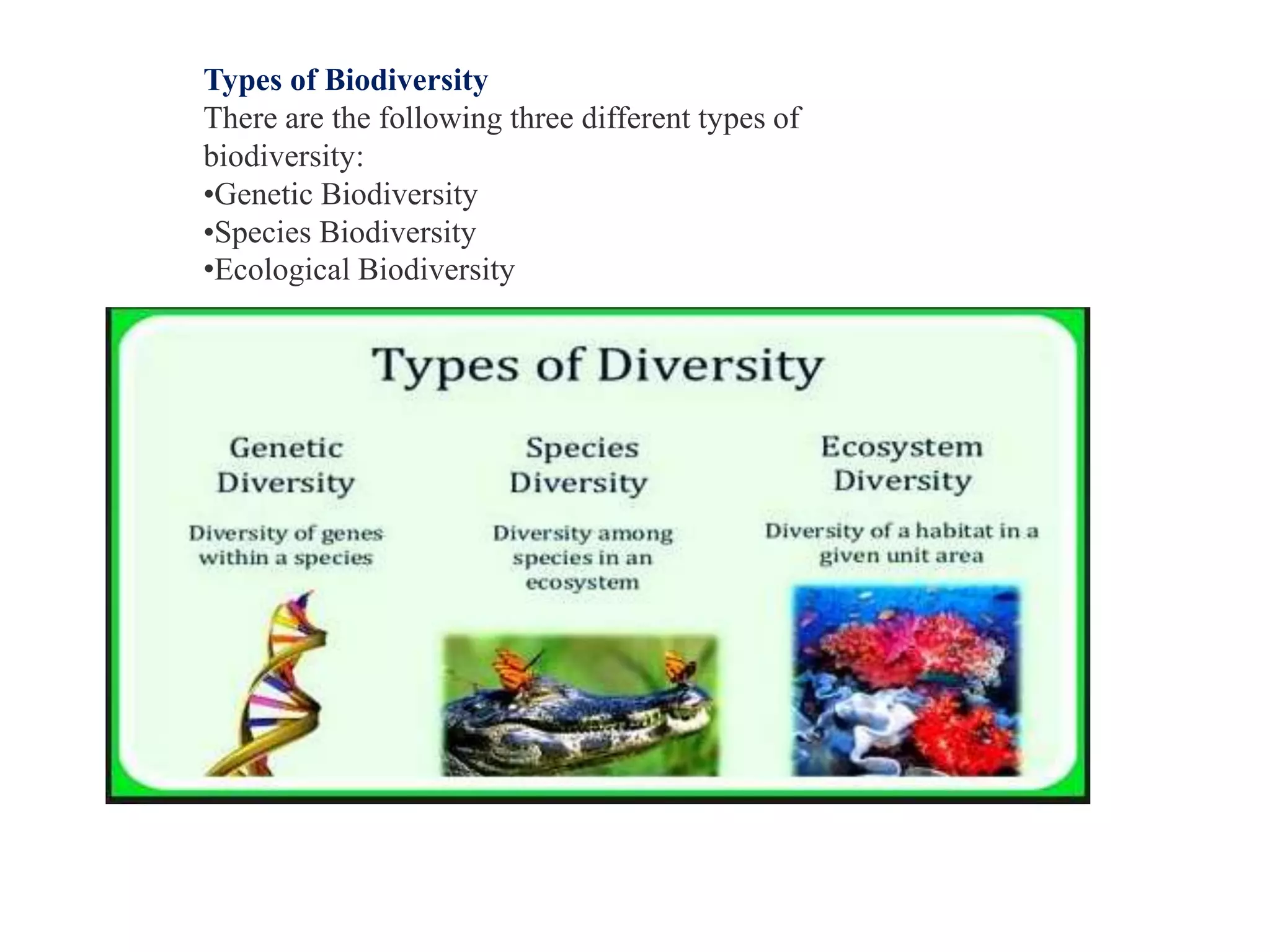 BIODIVERSITY.pptx
