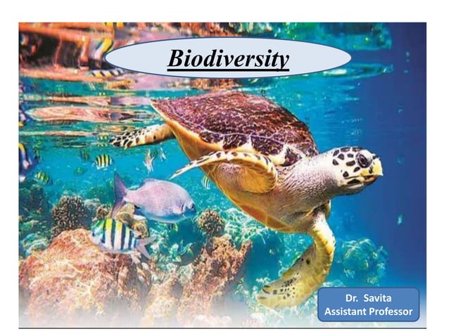 BIODIVERSITY.pptx