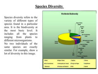 BIODIVERSITY.pptx