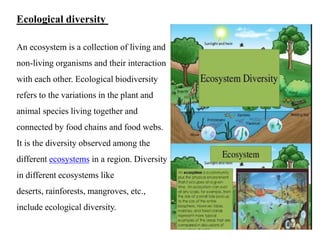 BIODIVERSITY.pptx