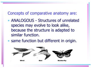 Science 10 quarter 3.... Biodiversity.ppt