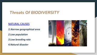 Biodiversity and Business.pdf