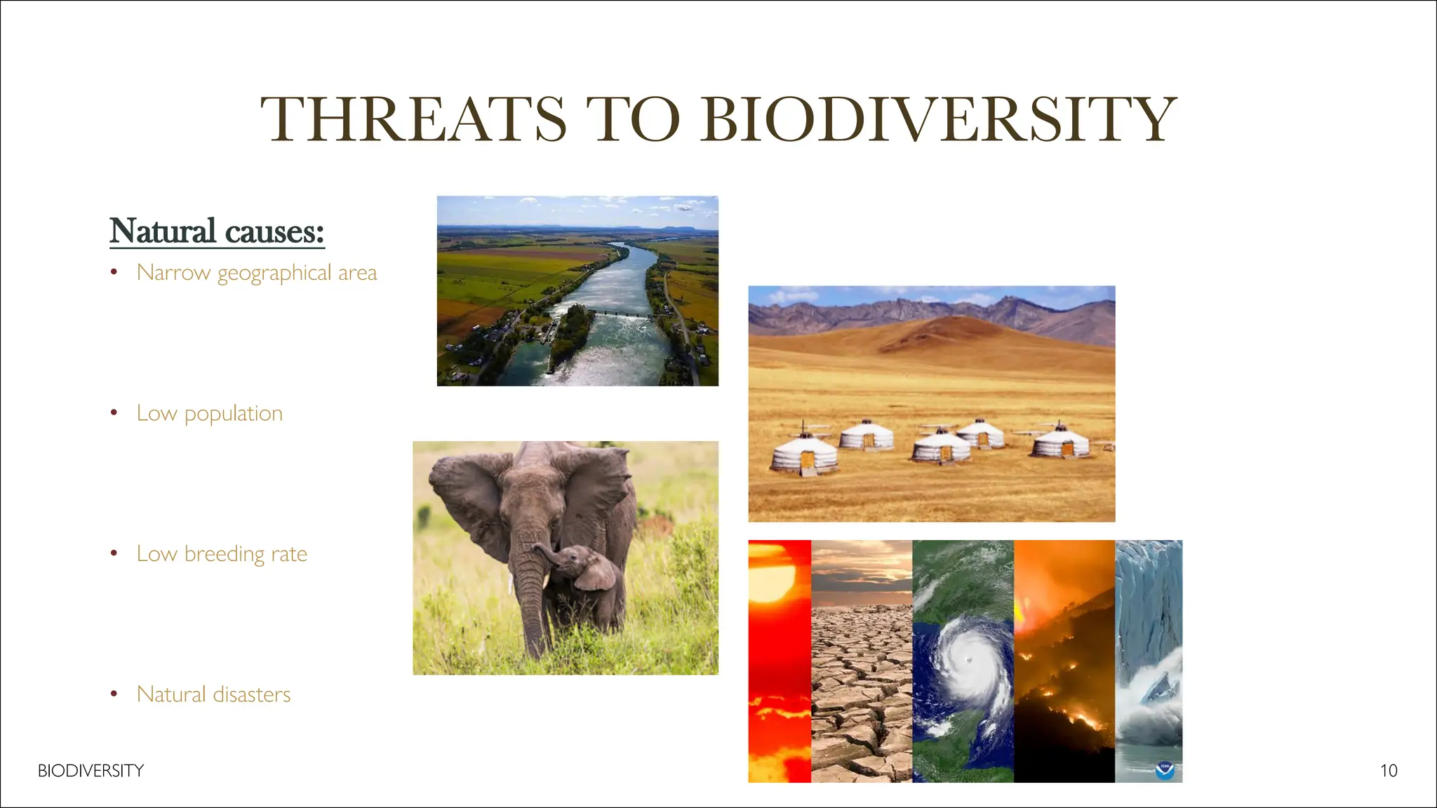 BIODIVERSITY, its types, definition, advantages.pdf