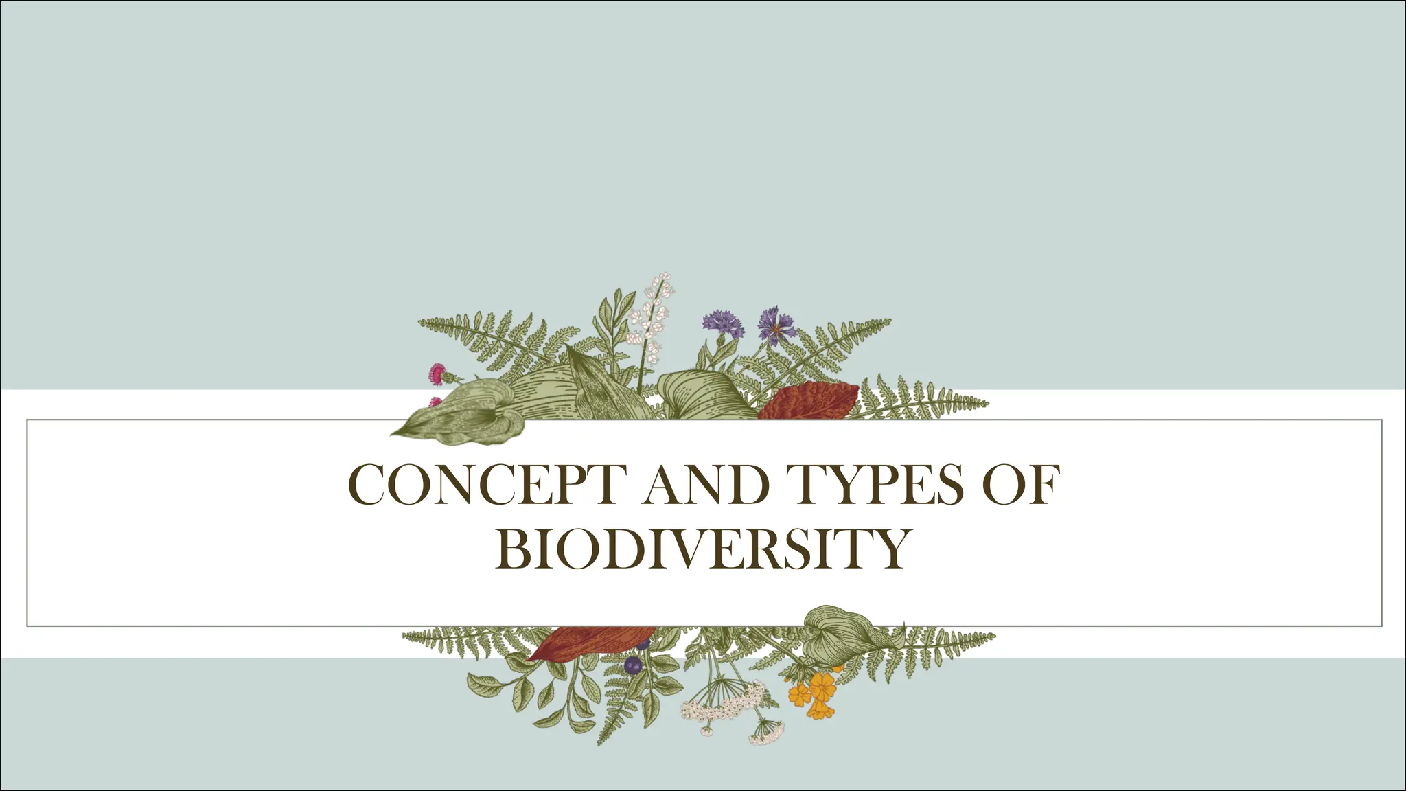BIODIVERSITY, its types, definition, advantages.pdf