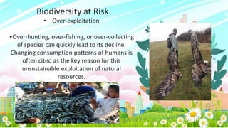 Biodiversity.pdf