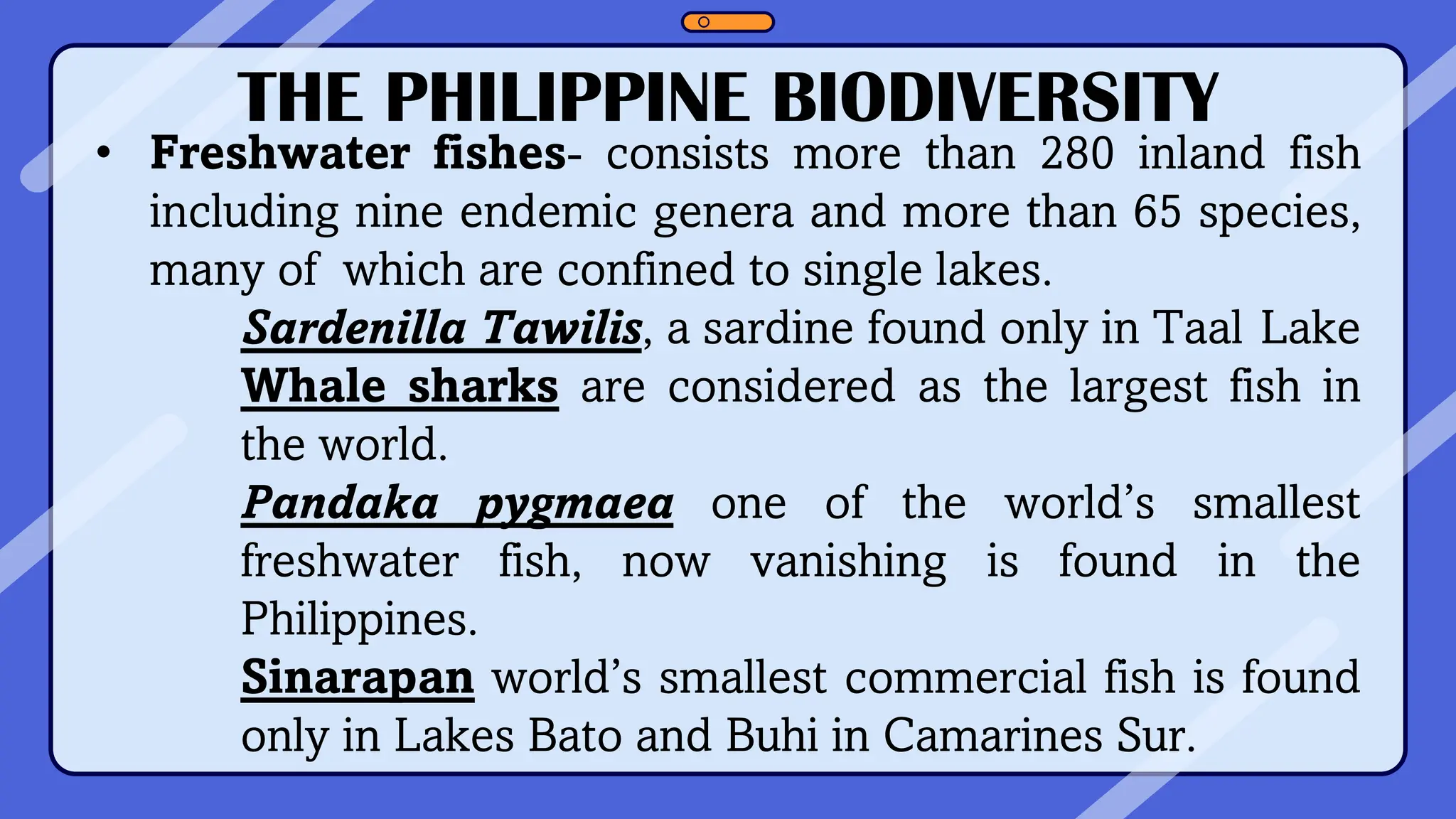 The Philippine Biodiversity (Integrated Science 9).pdf
