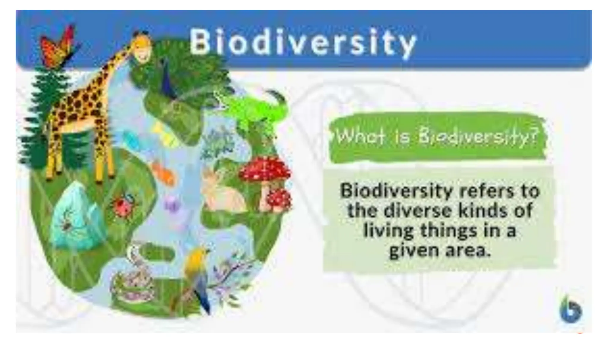 Conscientization programme on Biodiversity depletion among secondary ...