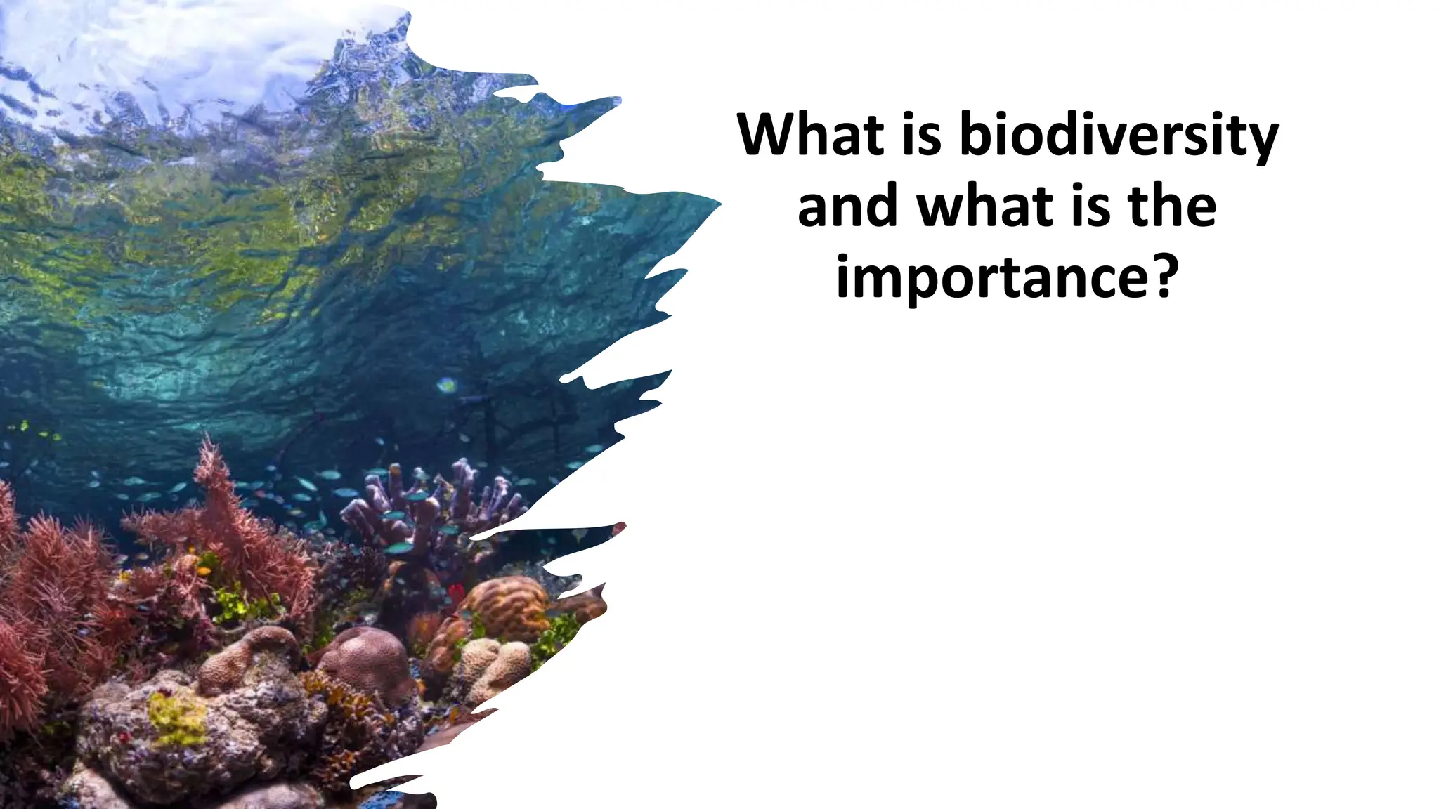 BIODIVERSITY...................................................... | PPT