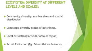 Biodiversity in environment and surroundings.pptx