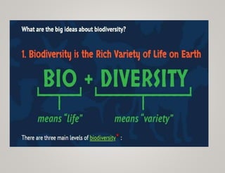 Biodiversity Pptx