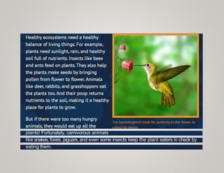 Biodiversity Pptx