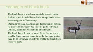 Biodiversity chemistry the need o know it. | PPT