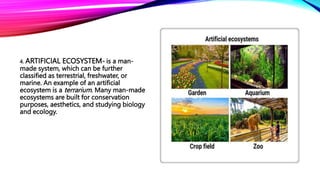 Biodiversity.pptx for scuence technology and society | PPTX
