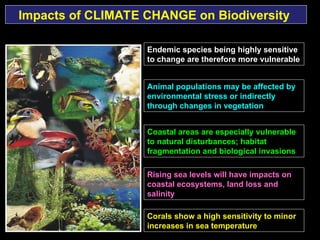 impact of environmental change on Biodiversity.ppt