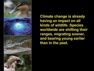 impact of environmental change on Biodiversity.ppt