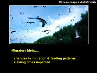 impact of environmental change on Biodiversity.ppt